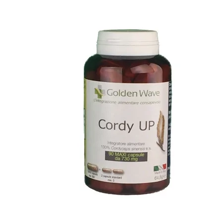 CORDY UP 90 MAXI CAPSULE
