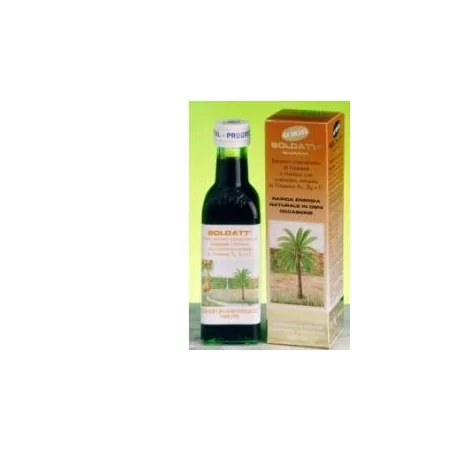 SOLDATT GUARANA 100ML